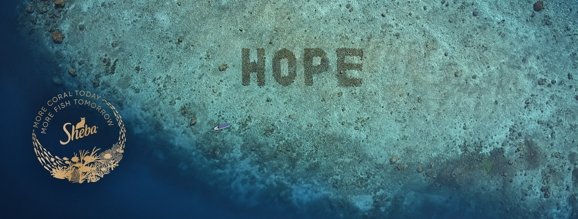 SHEBA® | Help het koraalrif herstellen met Sheba Hope Grows
