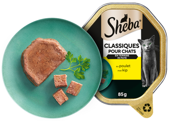 SHEBA® | Verwen jouw kat met Classics Paté in de smaak kip